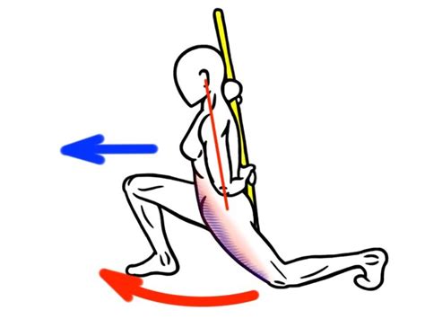Stretching Pnf Stretch Contractrelax Kneeling Lunge Stretch For