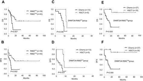 Acute Myeloid Leukemia Patient With Flt3 Itd And Npm1 Double Mutation Cmar