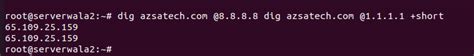 How To Use Linux Dig Command With Examples