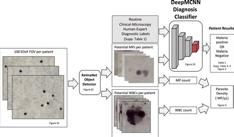The Deep Malaria Convolutional Neural Network Deepmcnn Diagnostic
