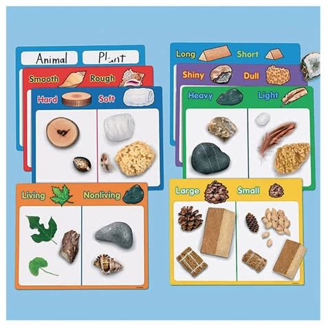 Order Lakeshore Science Specimens Sorting Center Now Jomlaae