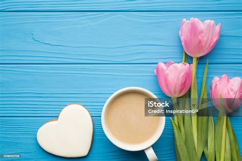 밝은 색상 파란색 테이블에 맛있는 라떼와 진저 브레드 쿠키의 세 파스텔 색상 튤립 컵의 플랫 평신도 사진 2월에 대한 스톡 사진 및 기타 이미지 Istock