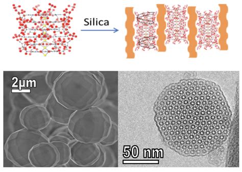 Synthesis Nanobiomaterials Group