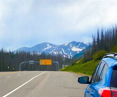 네이버 인플루언서