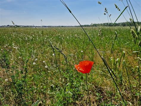 Farbklecks Rfotografie