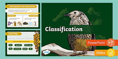 Classification Keys Powerpoint Differentiated Lesson Teaching Pack Teaching
