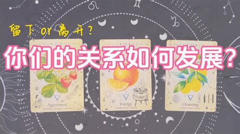 这段感情应该选择继续还是离开？ta对你们关系的真实想法！你和ta的感情未来如何发展？塔罗占卜感情断联分手远距离冷淡正缘 Youtube