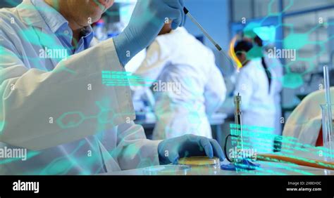 Image Of Medical Data Processing On Caucasian Male Scientist Performing Experiment At Laboratory