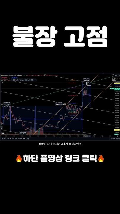 이번시즌 고점 비트코인 트럼프코인 트럼프 리플 솔라나 주식 재테크 Youtube