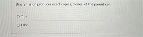 Solved Binary Fission Produces Exact Copies Clones Of The