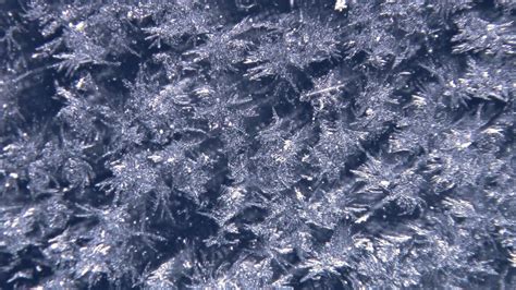 Microscopic Building Blocks New Dual Functional Supramolecular Structures Unveiled