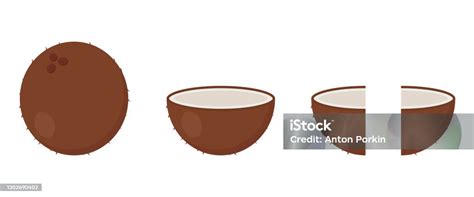 만화 스타일의 코코넛 아이콘 코코넛의 전체 절반 및 네 번째 부분 열대 과일 벡터 0명에 대한 스톡 벡터 아트 및 기타 이미지 0명 갈색 개체 그룹 Istock