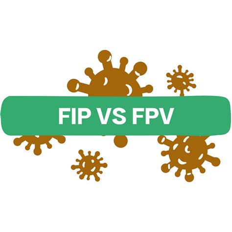 Fip Vs Fpv