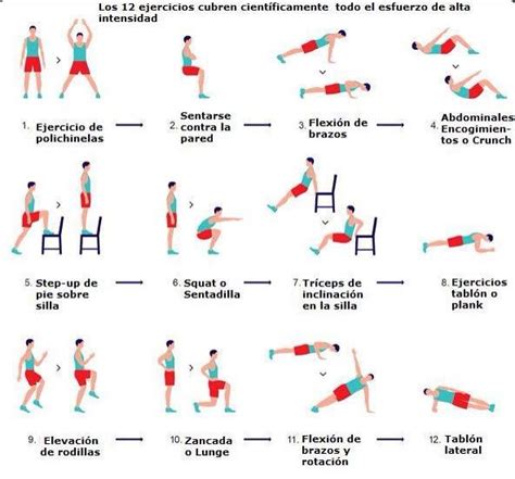 Pin De Laura Valeria Em Circuitos CondiciÓn FÍsica Exercícios Treino Hiit Exercícios