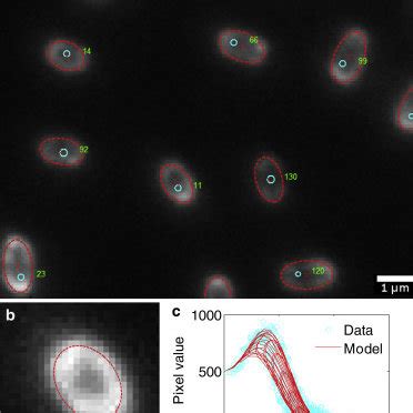 Computational Segmentation And Fitting Can Determine The Geometry Of