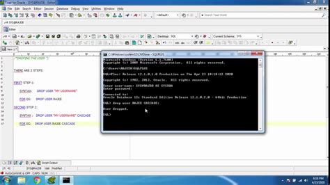 Revoke User Privileges And Drop User In Oracle Database Drop Oracle Revoke Youtube