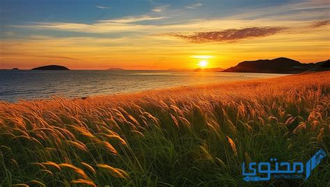 اجمل ما قيل من عبارات عن شروق الشمس 2025 أقوال وحكم
