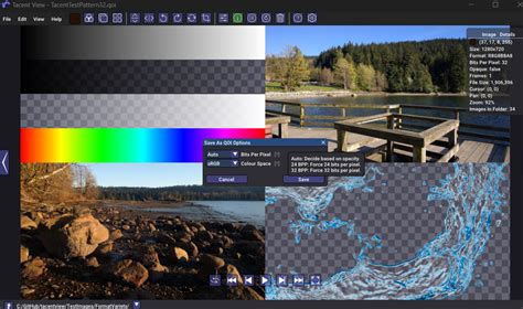 New Format Suggestion QOI Issue Bluescan Tacentview GitHub