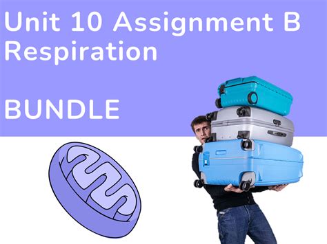Btec Appsci 10b Respiration Teaching Resources