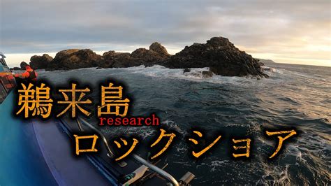 鵜来島の磯ジグで初のアイツが釣れた YouTube