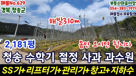 매물no629 경북 청송군 청송땅 청송토지 청송과수원 청송사과과수원 청송사과밭 매매 Youtube