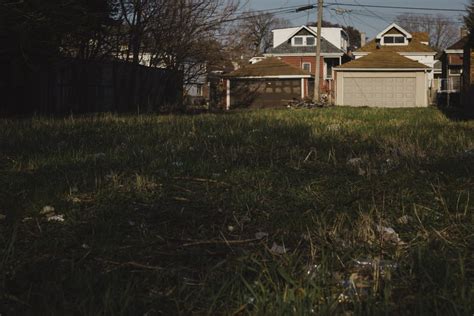 Amendment 1 Articles Wirepoints