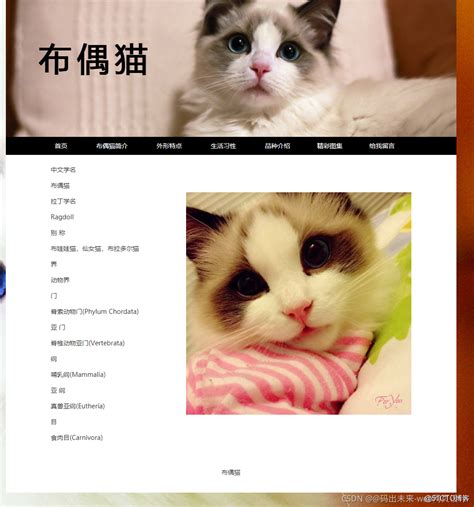 Html5期末大作业：宠物网站设计——布偶猫7页带留言板 Htmlcssjavascript Web结课作业的源码 Web网页设计实例作业 Html大学生网站开发实践作业web