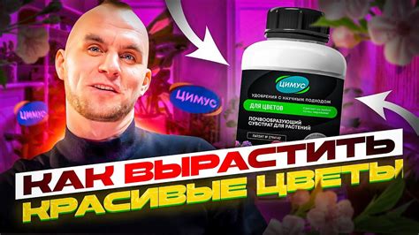 Лучшая подкормка для цветов Инструкция по применению для цветов и домашних растений ЦИМУС Youtube