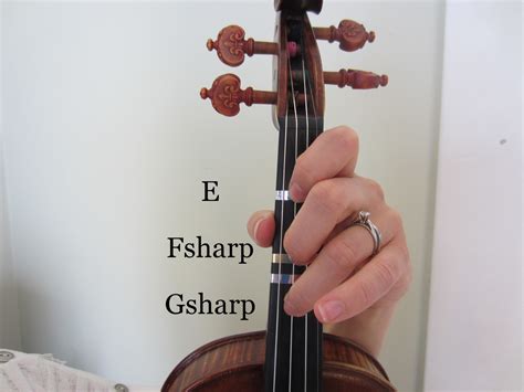 Violin Fingering D String The Violin