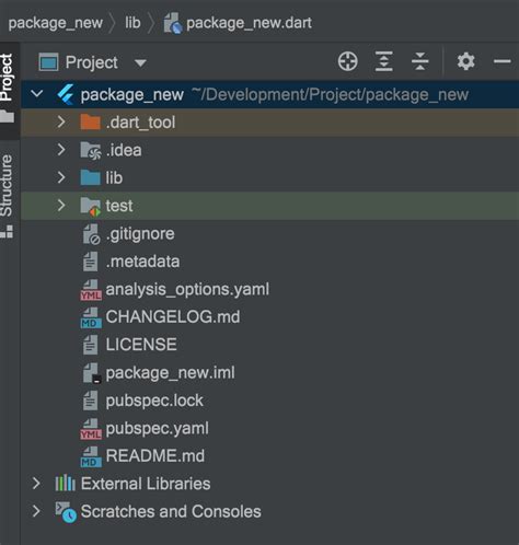 A Package Created With The Flutter Create Templatepackage Command Example Folder Is Not