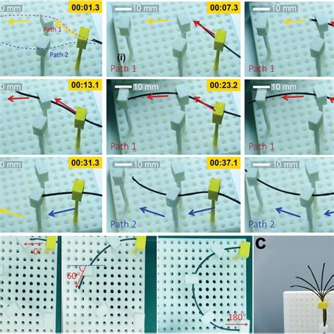 Schematic Diagram Of Lithography Process Steps Download Scientific Diagram