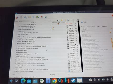 managed to get mod organiser 2 working for steam deck r skyrim