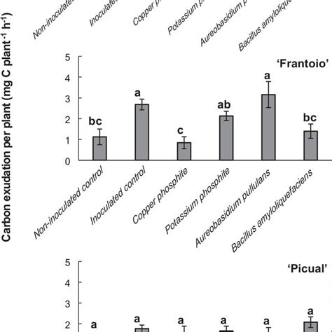 An Overview Of The Method Developed To Extract Root Exudates From Olive