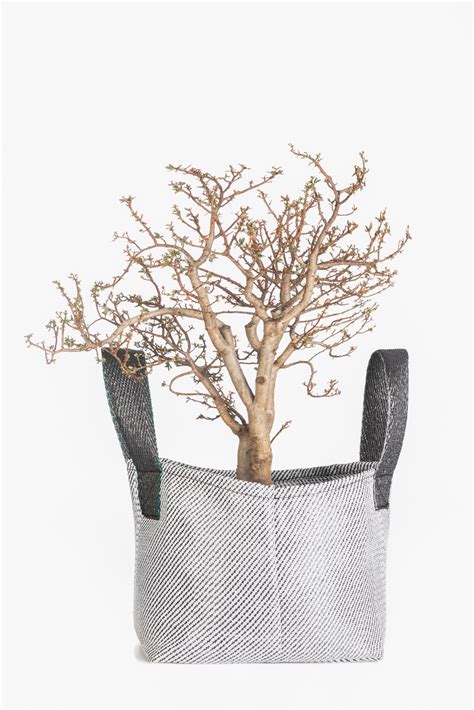 Tree Bags Our Green Brick Road