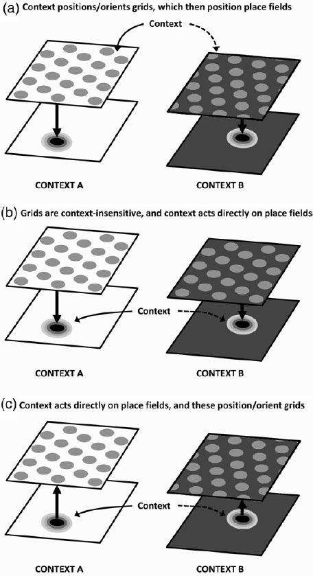 Hypotheses Concerning Relationships Between Context Inputs Grid Cells