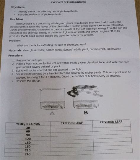 EVIDENCES OF PHOTOSYNTHESIS Objectives StudyX