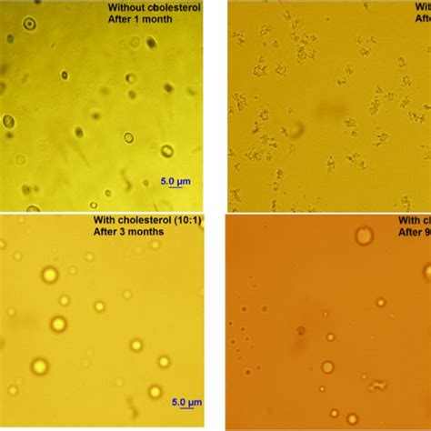 Uv Vis Spectra Of A Liposome And B Liposome Containing Curcumin Download Scientific Diagram
