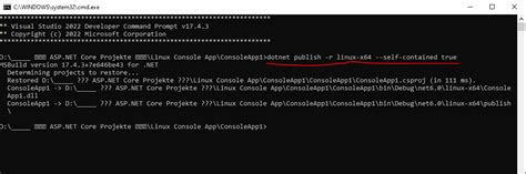 Run A Net Core C Console App On Ubuntu