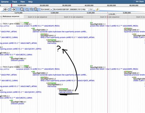 gff gtf files tomsbio lab