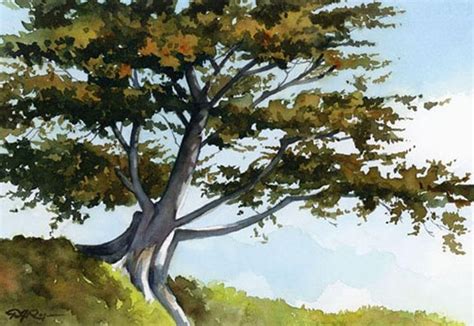Cypress Tree Art Print Watercolor Painting By Artist Dj Rogers