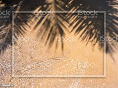 잔잔한 해변 장면의 흰색 선 프레임 맑은 바닷물의 움직임 코코넛 야자수 잎의 부드러운 파도와 그림자는 화창한 날에 깨끗한 모래 해변에 놓여 있습니다 여름 방학 휴가