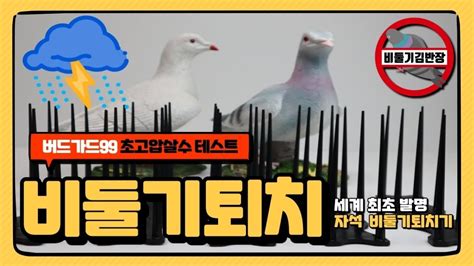 비둘기 퇴치 방법 에어컨 실외기 비둘기 퇴치법 비둘기김반장의 버드가드99자력 초고압살수 테스트 영상 Youtube