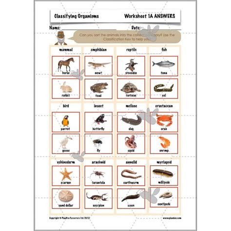 Classifying Organisms Chart