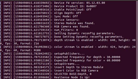 ERROR After Running Command Roslaunch Realsense Camera Rs Camera Launch Issue