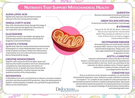 Hyperthyroidism Symptoms Causes And Support Strategies