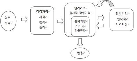 [심리학의 이해] 5장 기억 네이버 블로그