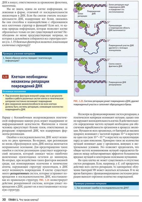Клетки по Льюину - Кассимерис Л., Лингаппа В. Р. - Клетки по Льюину ...