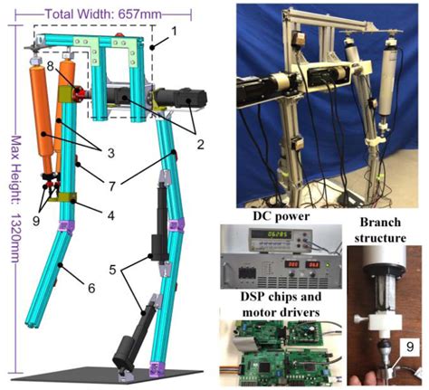 Figure 1 From Design And Experimental Verification Of A Hip Exoskeleton Based On Human Machine