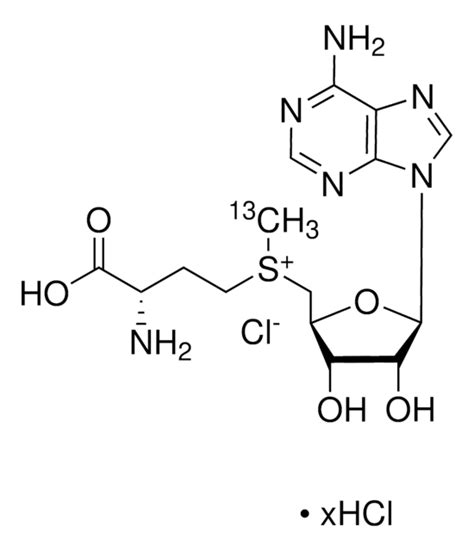 S Adenosyl L Methionine Sigma Aldrich