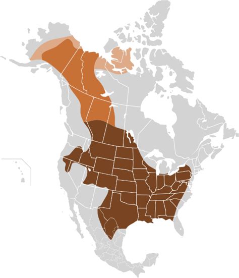 515px Bisonoriginalrangemapsvg Native American Netroots